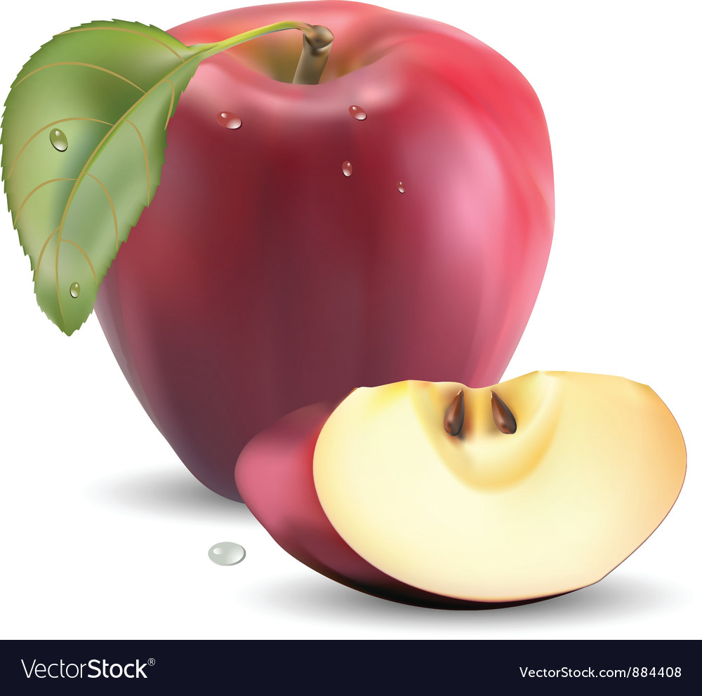 Apple Royalty Free Vector Image - VectorStock