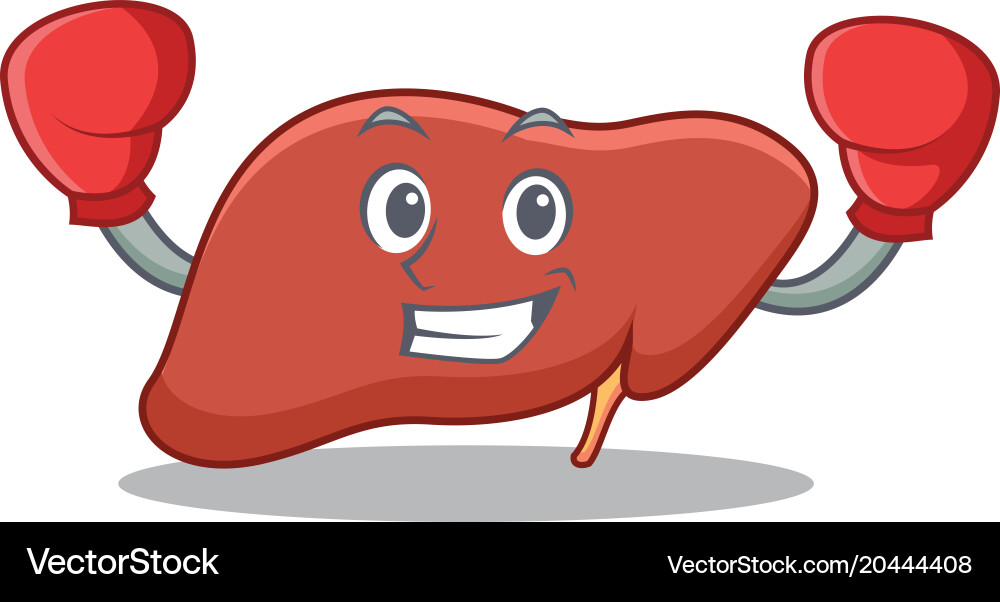 Boxing liver character cartoon style Royalty Free Vector