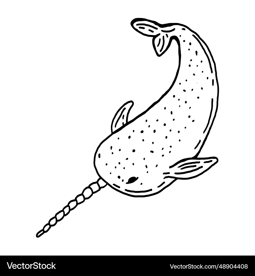 Hand drawn of narwhal Royalty Free Vector Image