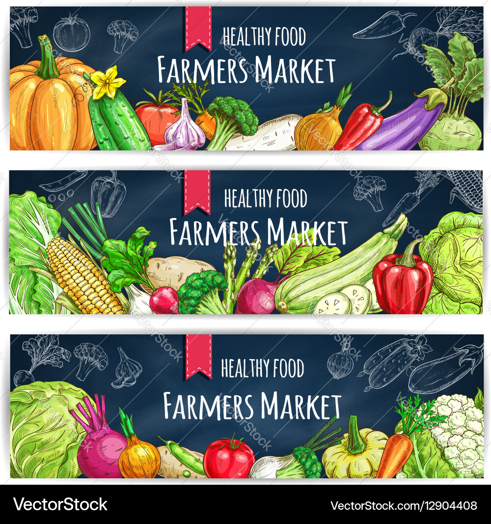 Vegetable banner with veggies sketch on blackboard
