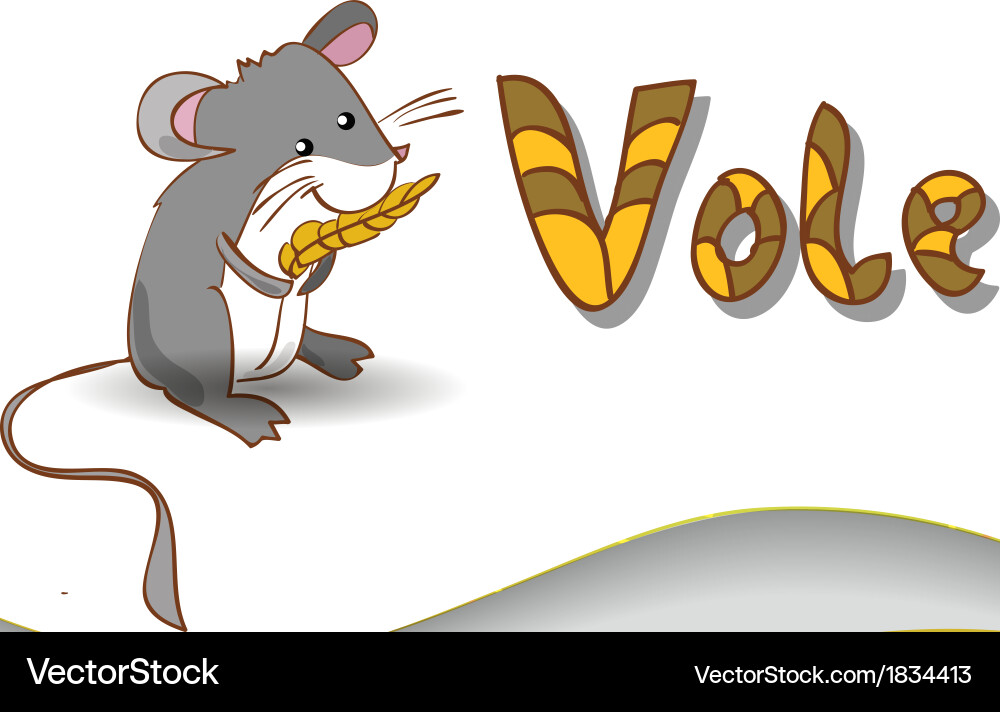 Animal alphabet letter v and vole Royalty Free Vector Image
