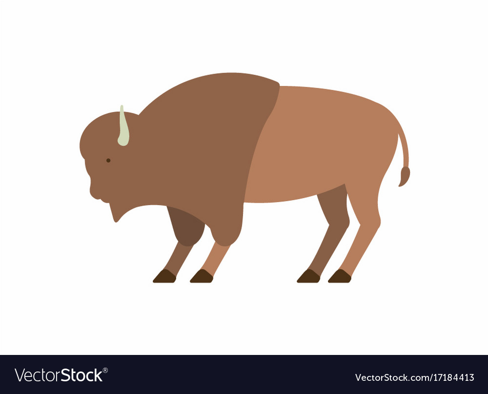 Buffalo Royalty Free Vector Image - VectorStock