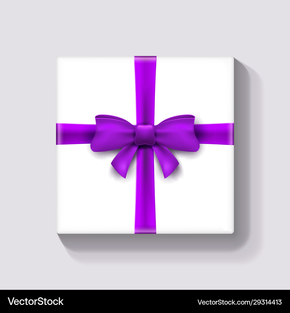 White gift box with ribbon celebration decoration Vector Image