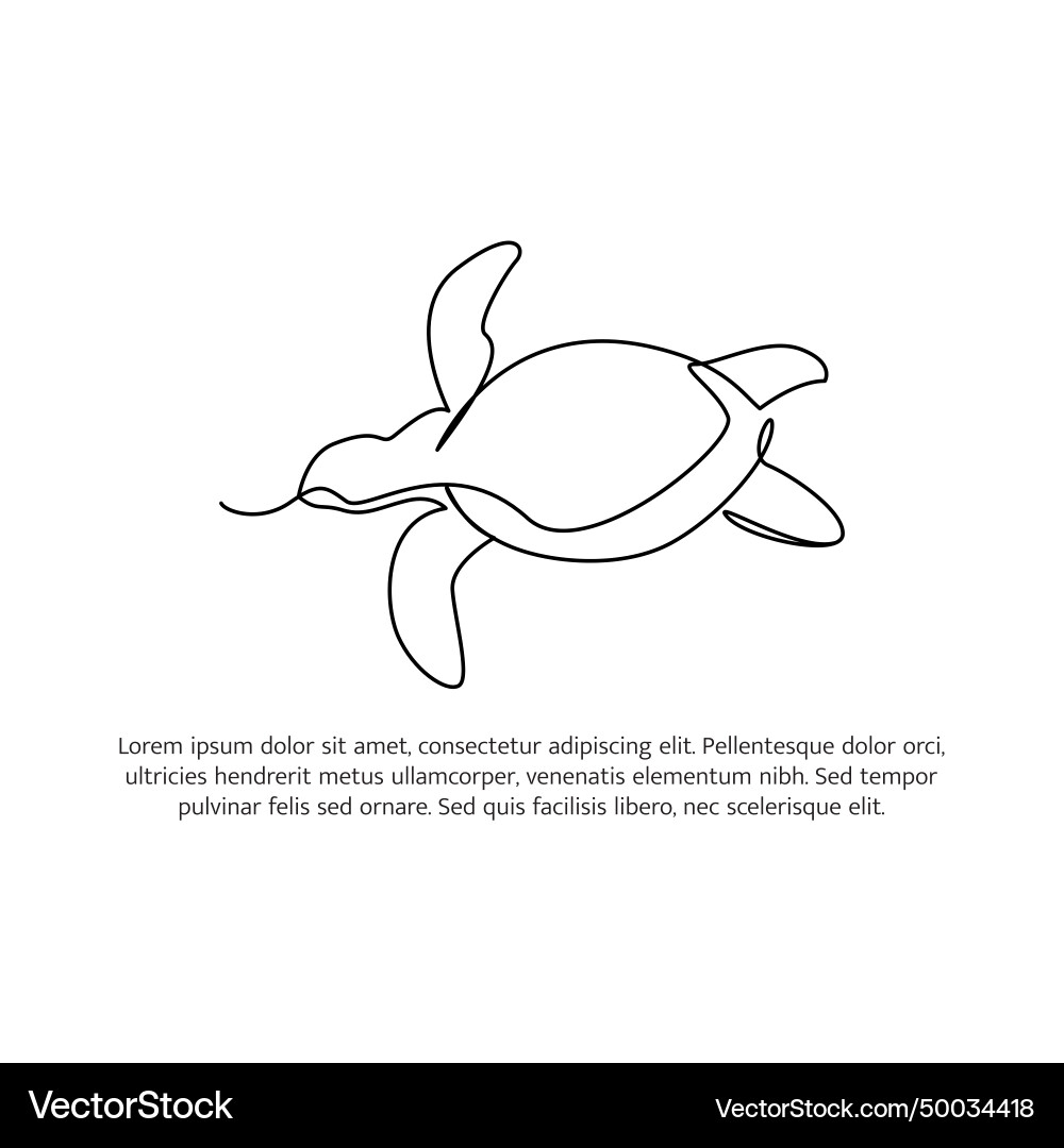 Turtle line design simple animal silhouette Vector Image