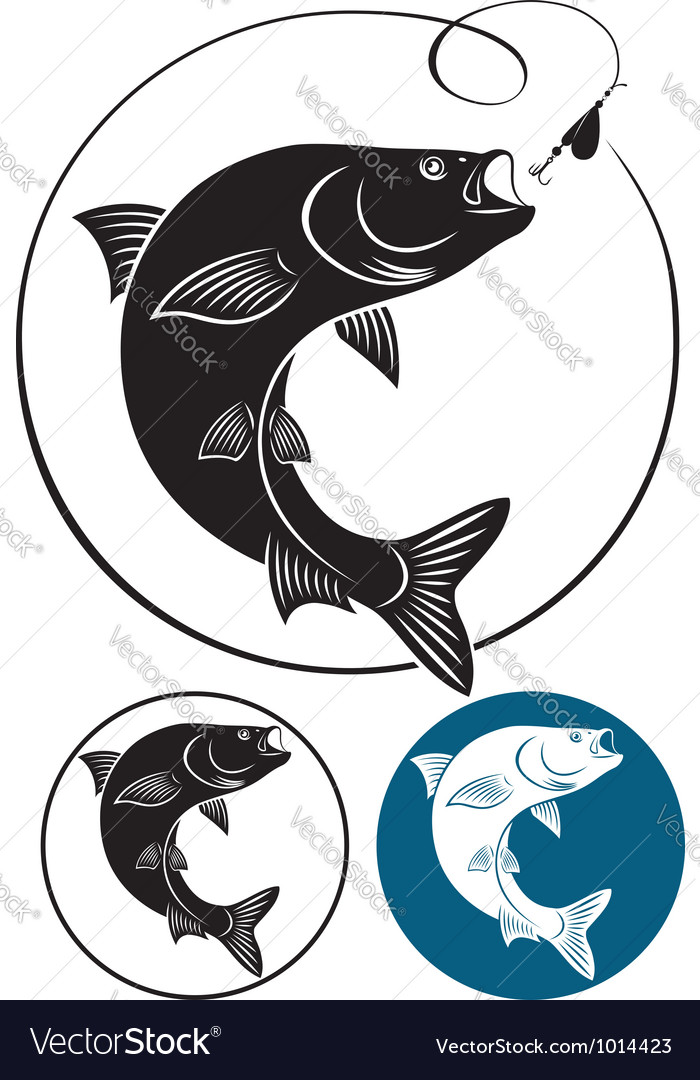 Fish chub Royalty Free Vector Image - VectorStock