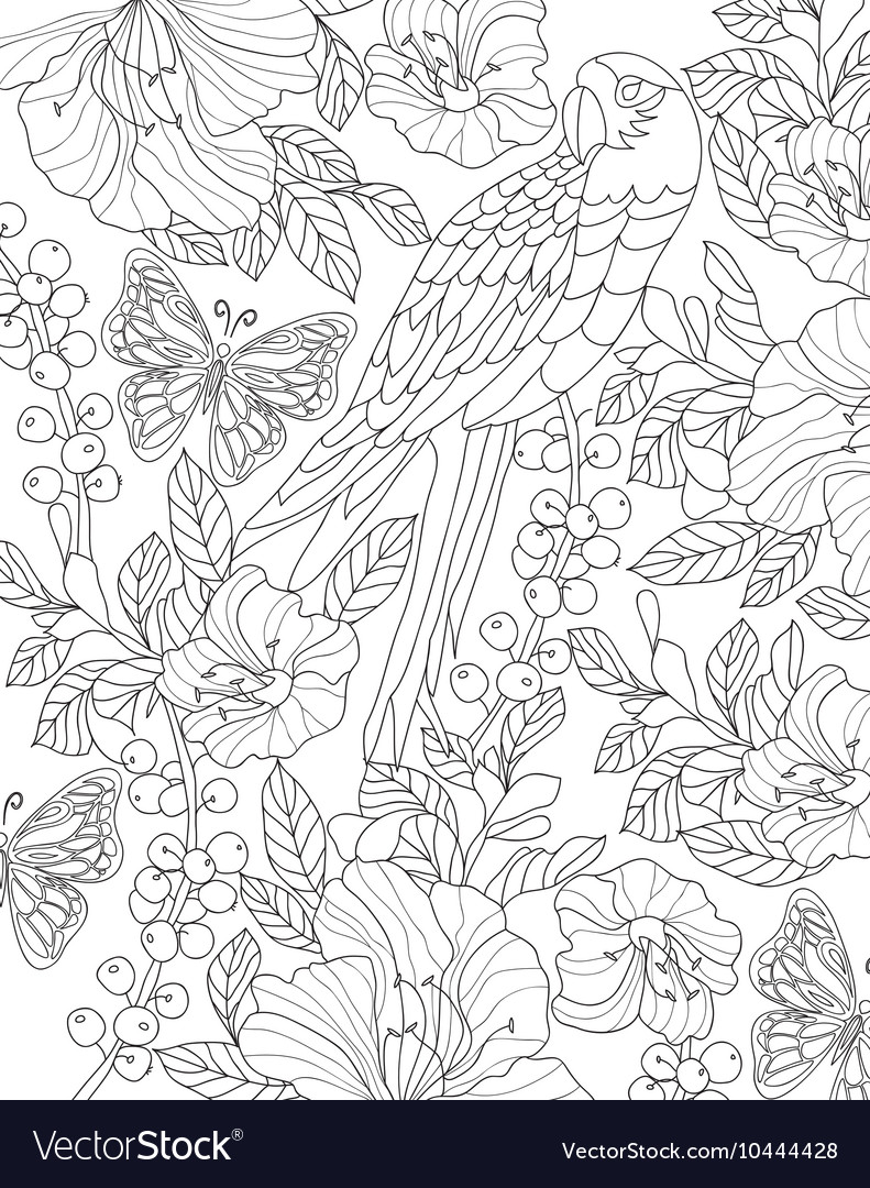 Coloring book Royalty Free Vector Image - VectorStock