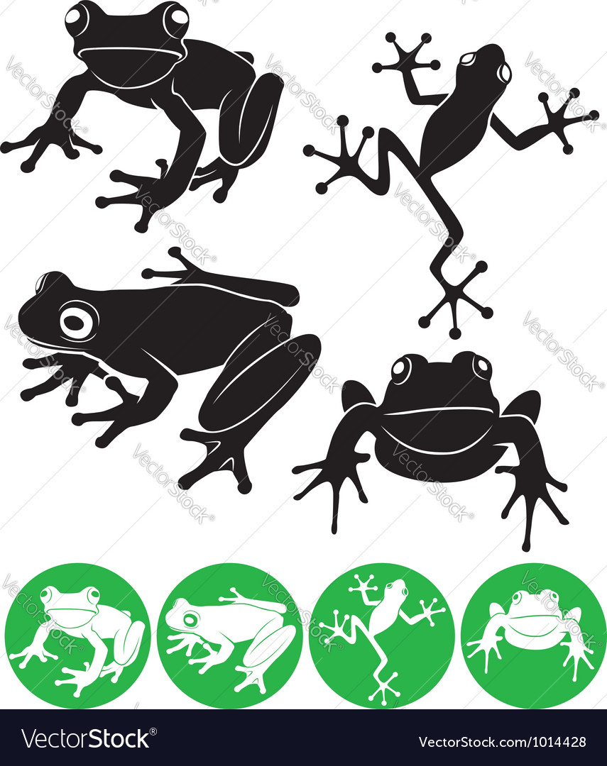 Frog Royalty Free Vector Image - VectorStock