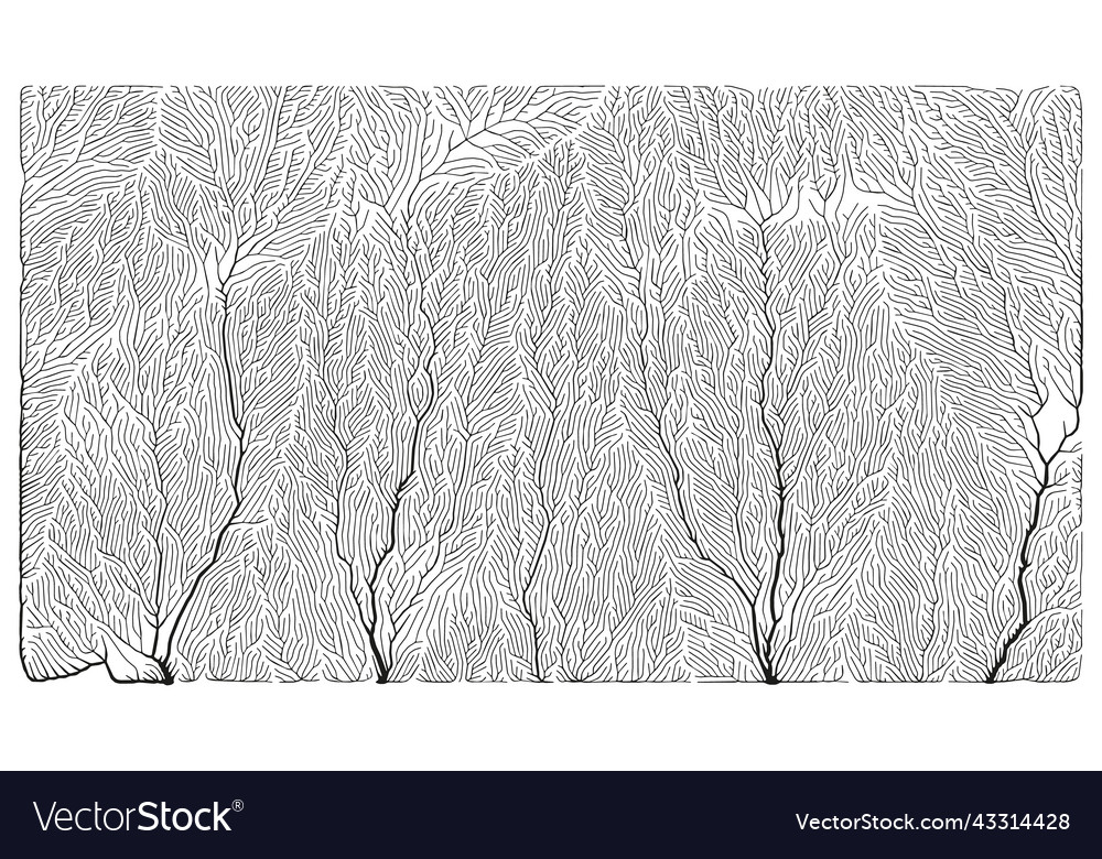 Growth pattern generative branching structure Vector Image