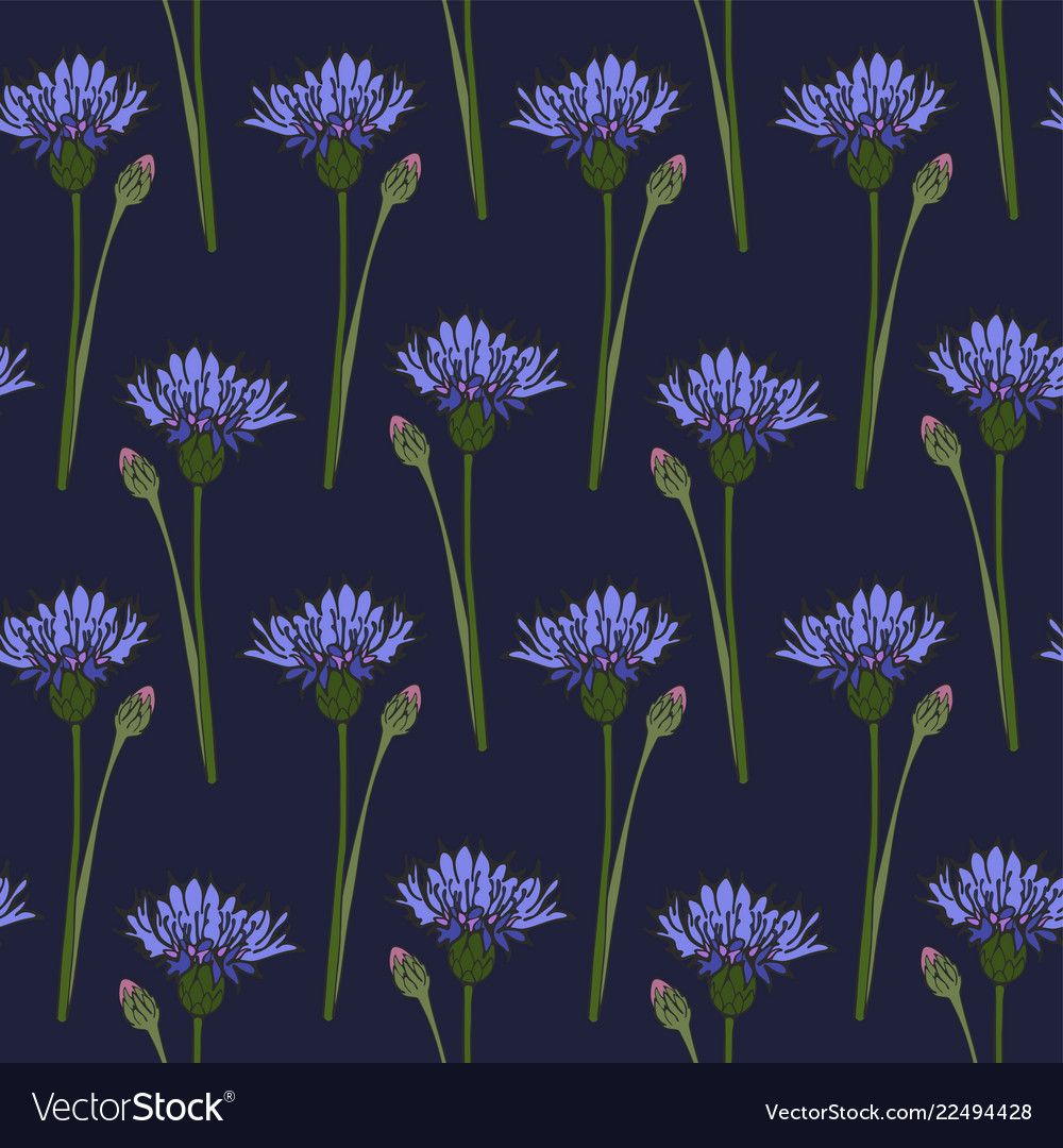 Seamless pattern blue cornflower Royalty Free Vector Image