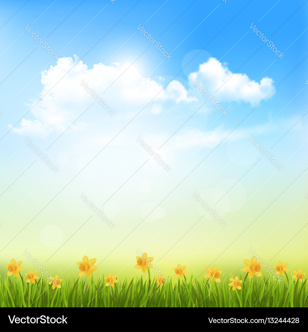 Spring nature background with a green grass Vector Image