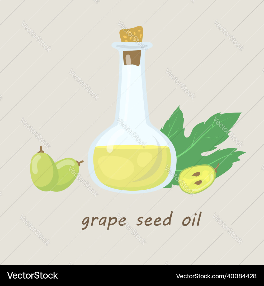Vegetable virgin oil glass jar flat design Vector Image