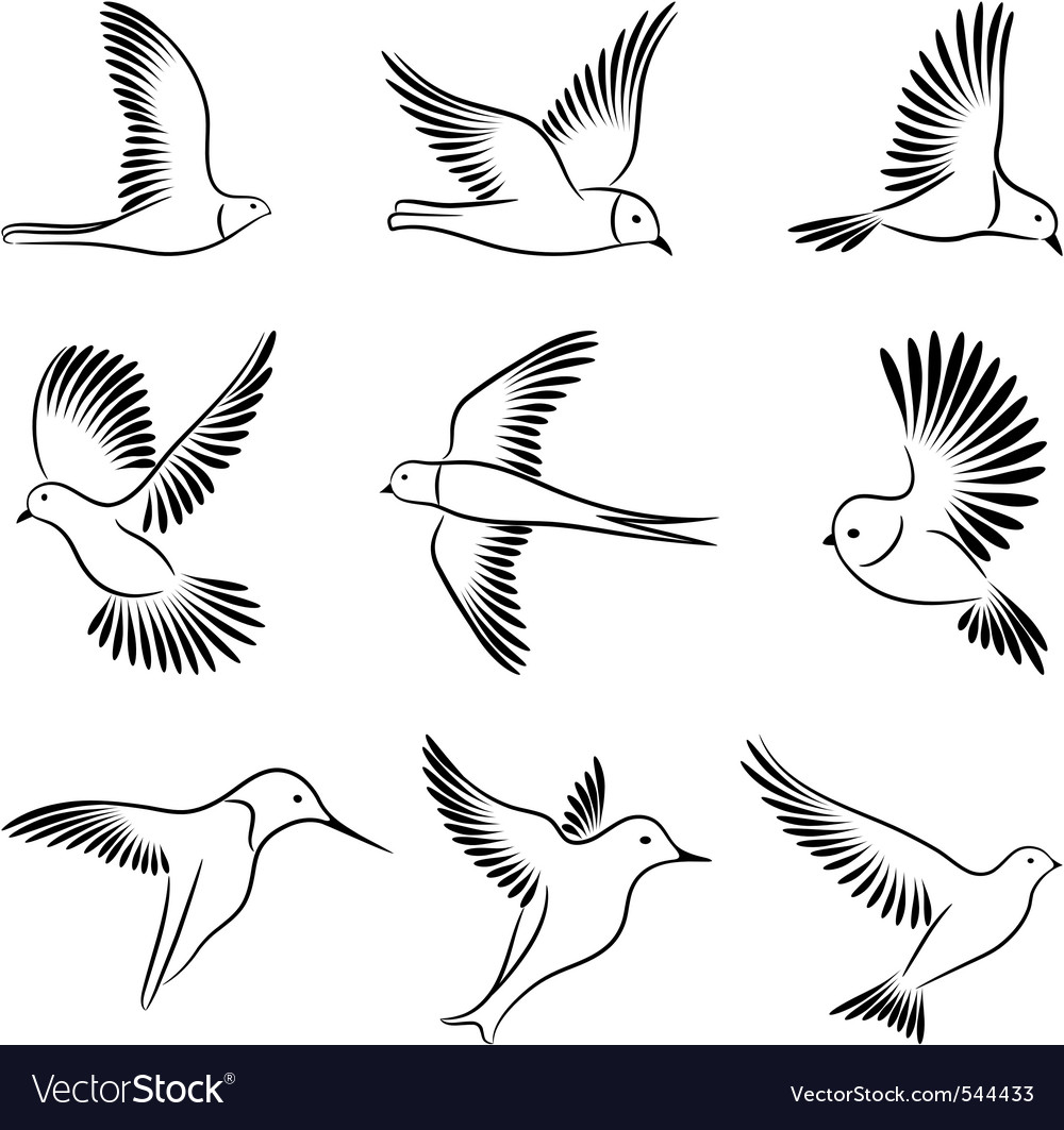 Birds Royalty Free Vector Image - VectorStock