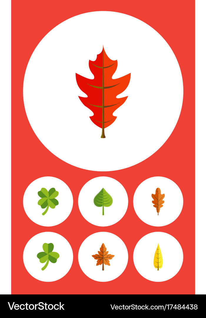 Flat icon maple set of leafage frond linden Vector Image