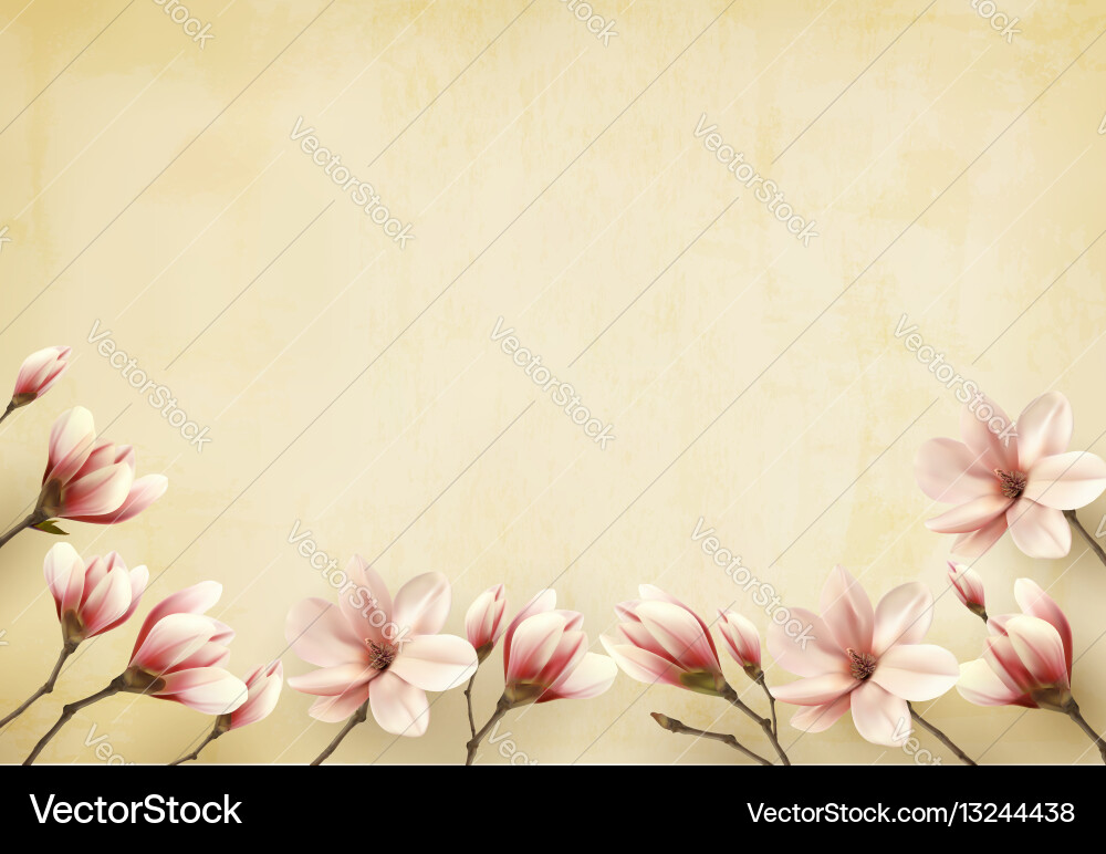 Frame made out magnolia flowers Royalty Free Vector Image