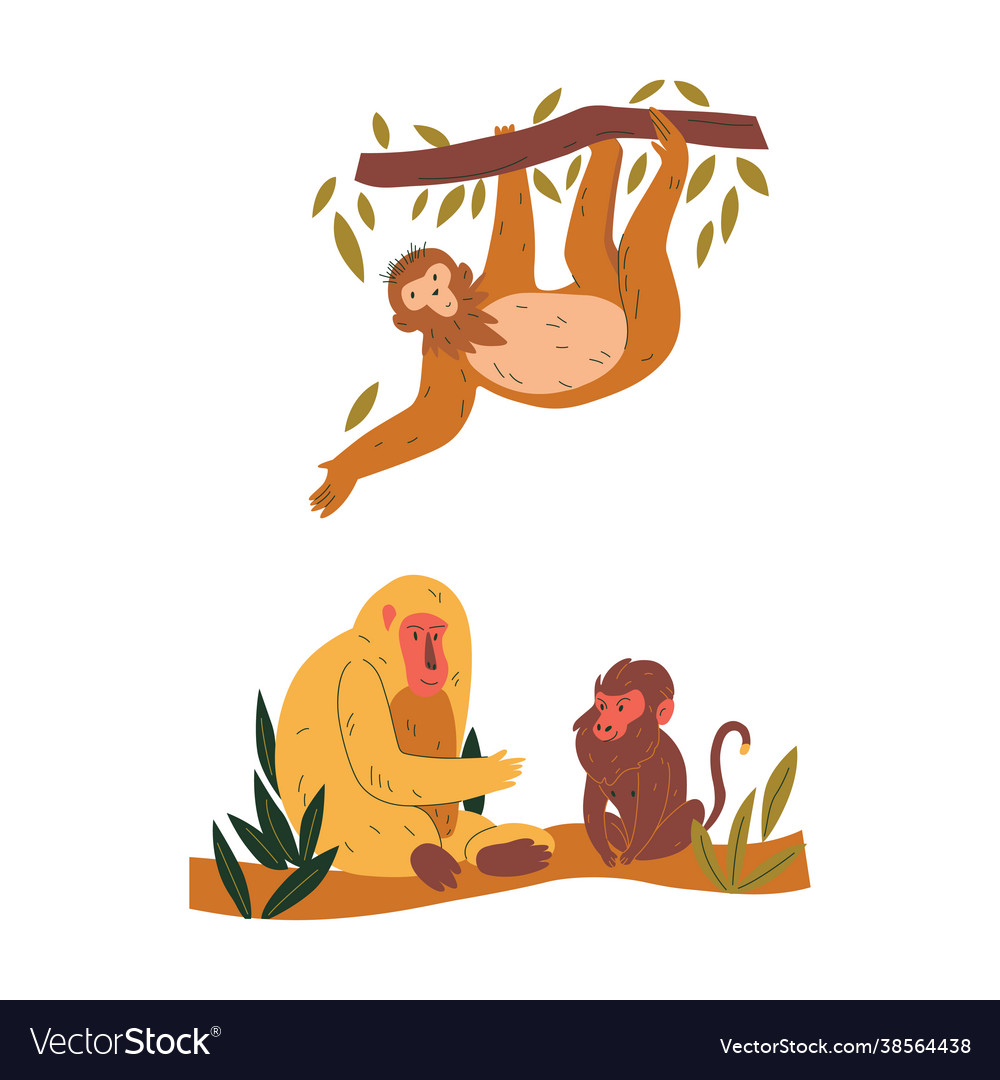 Monkeys flat Royalty Free Vector Image - VectorStock