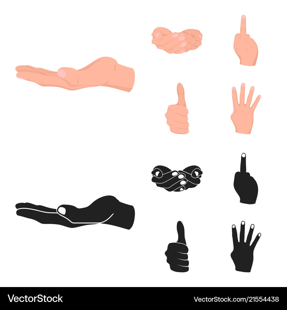 Palms together big up nameless hand gestures Vector Image