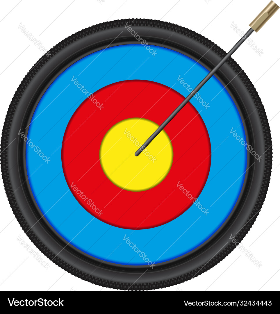 Bicycle spoke arrow in an archery target Vector Image