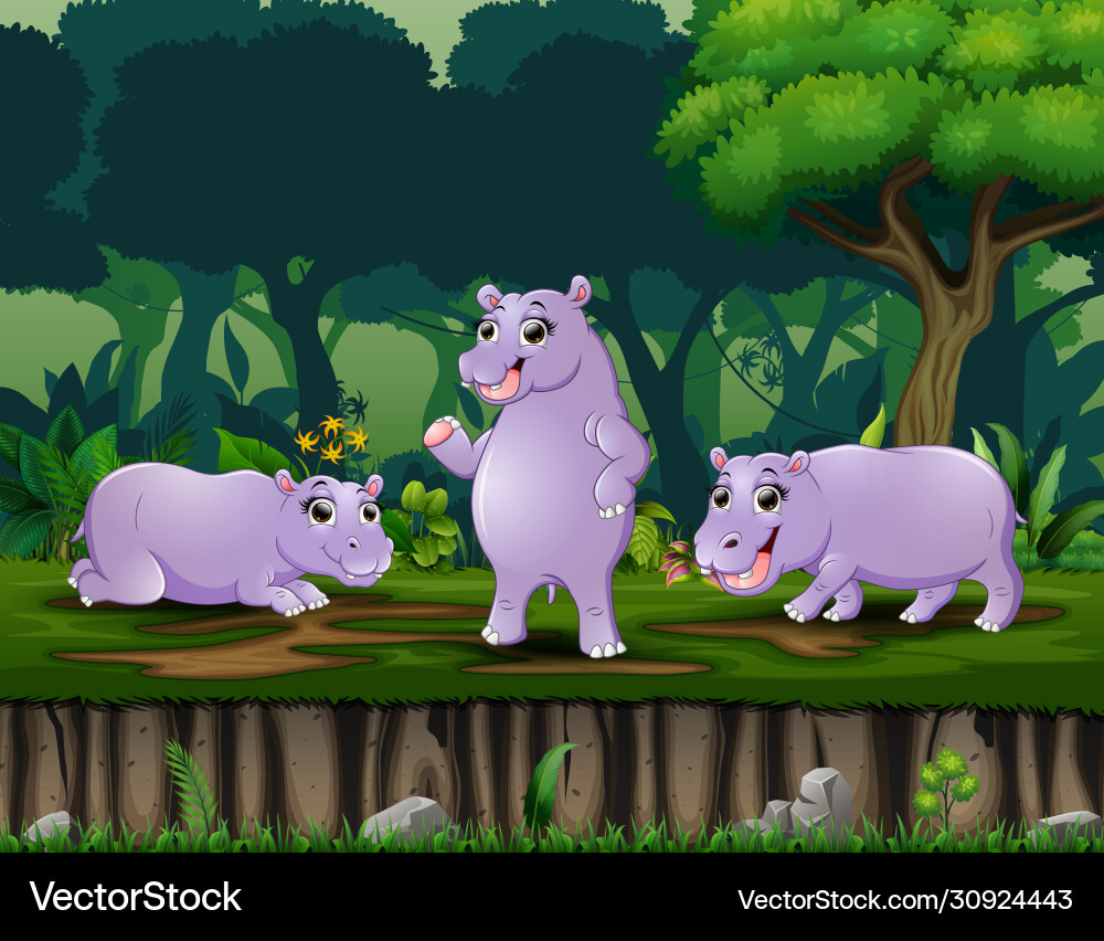 Cartoon three hippo playing at night forest Vector Image