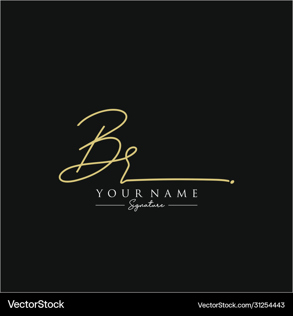 Letter br signature logo template Royalty Free Vector Image