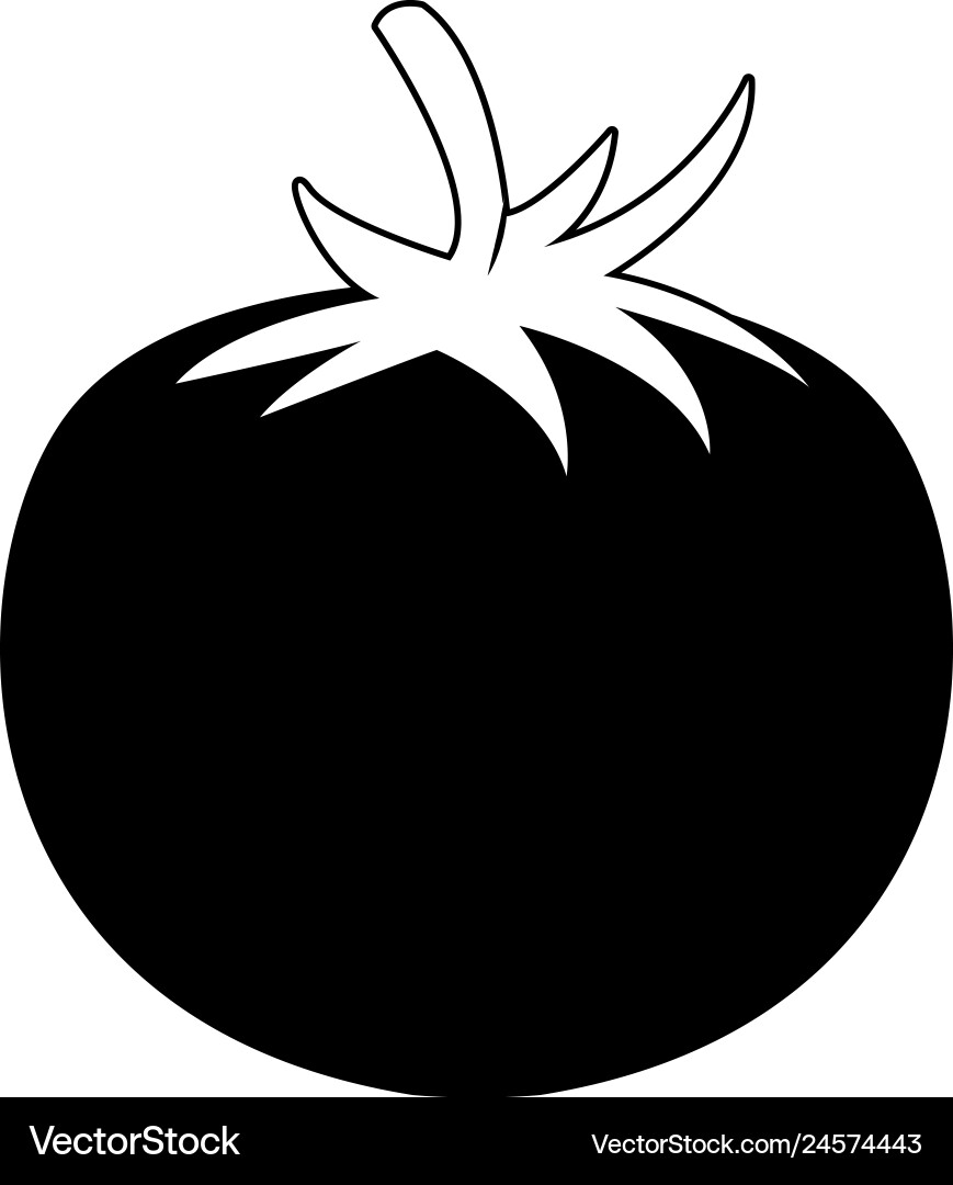 Tomato fresh vegetable in black and white Vector Image