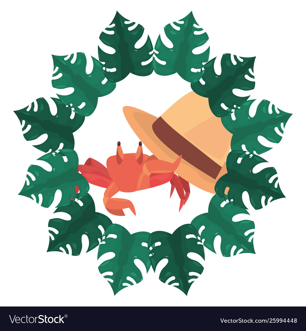 Crab with hat frame tropical leaves summer Vector Image