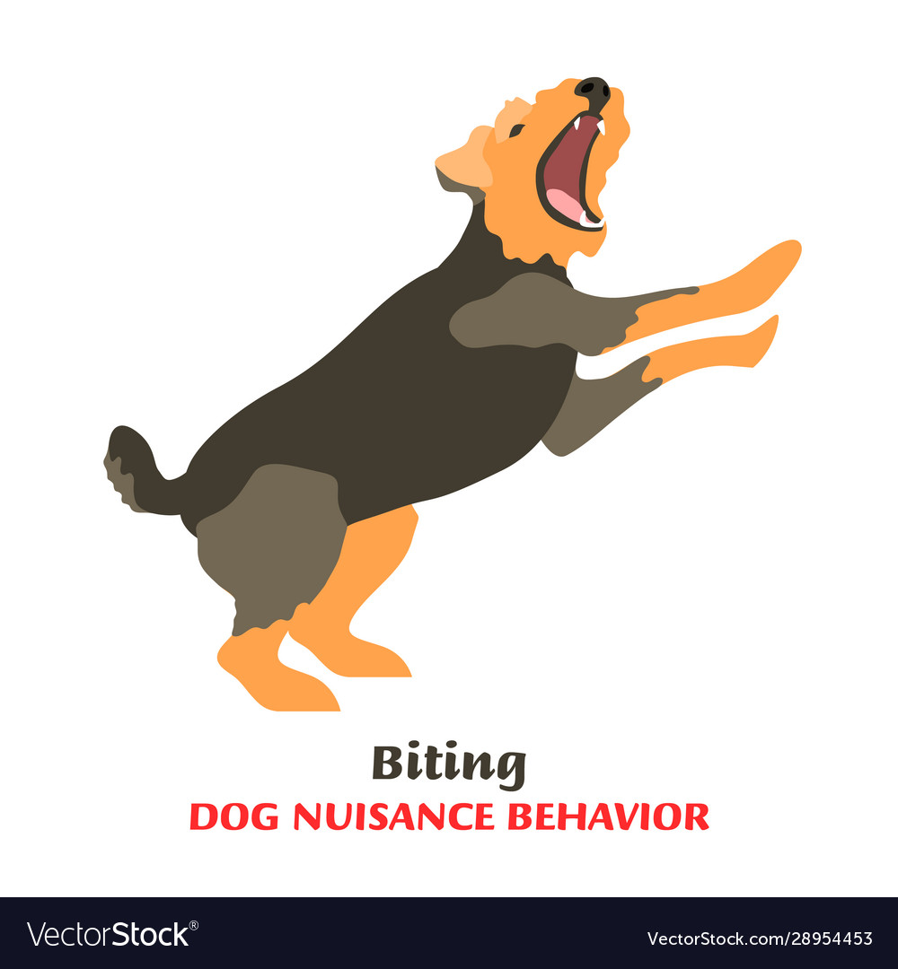 Dog behavior problem icon Royalty Free Vector Image