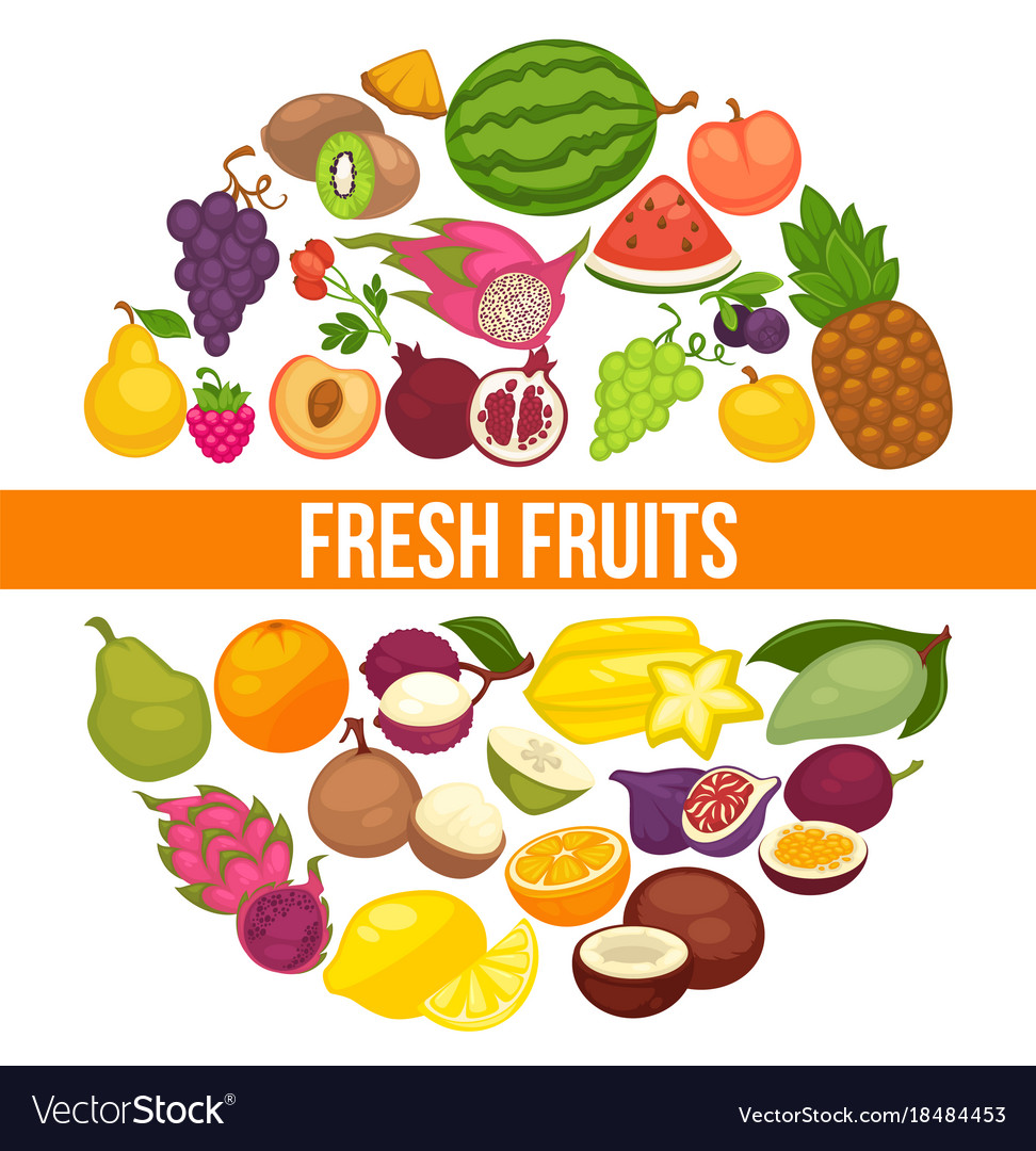 Fresh organic fruits and healthy natural berry Vector Image