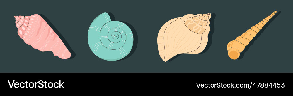 Seashell isolated seashells oyster and clam Vector Image