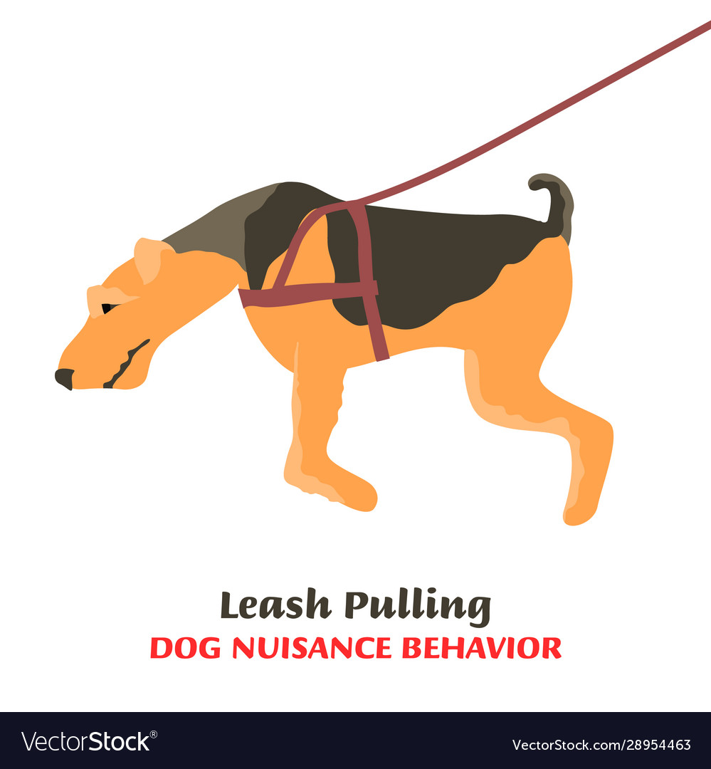Dog behavior problem icon Royalty Free Vector Image