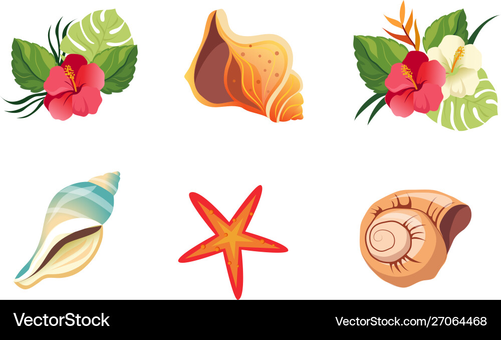 Sea shells and beautiful exotic flowers set Vector Image