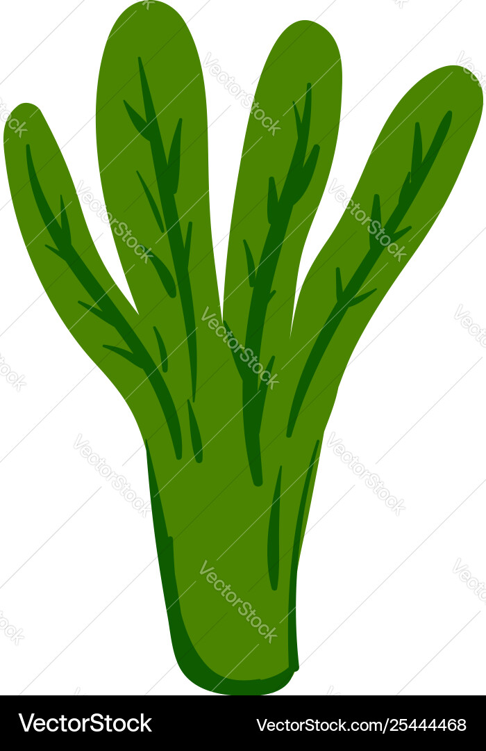 Spinach or color Royalty Free Vector Image - VectorStock