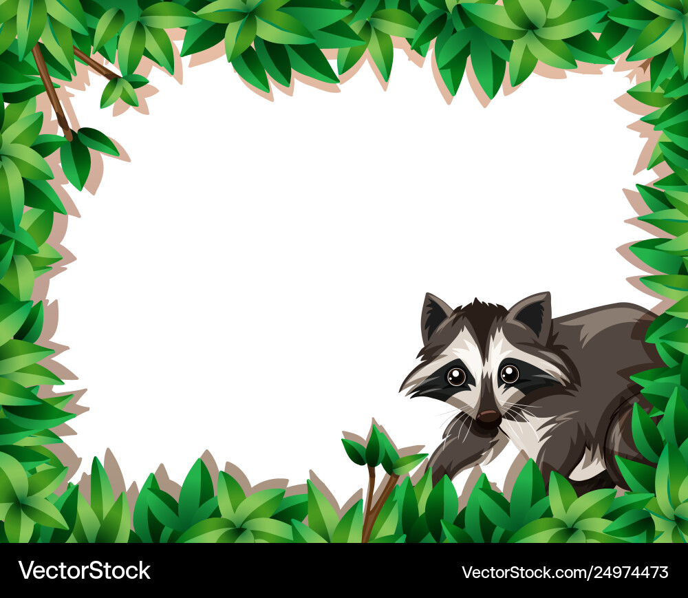 Raccoon on nature frame Royalty Free Vector Image