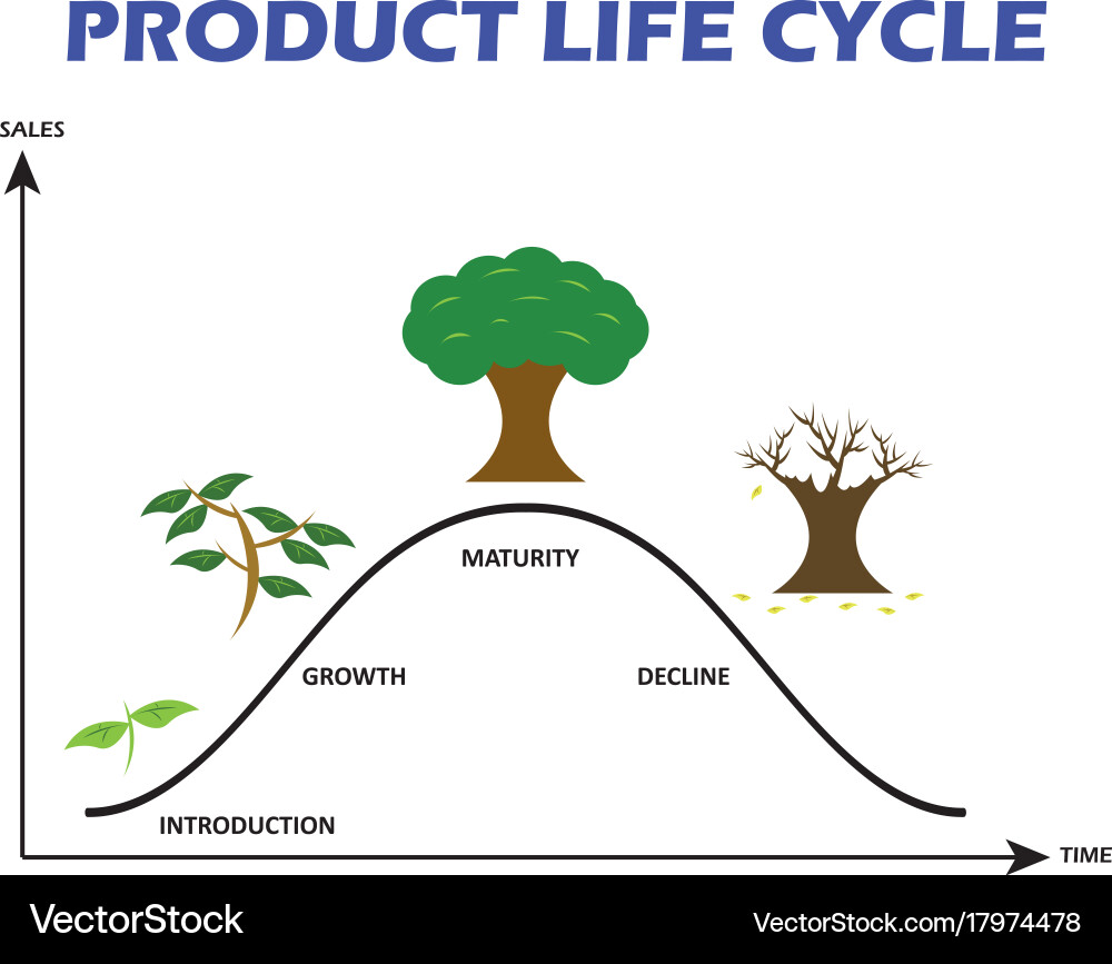 Product life cycle on white background Royalty Free Vector