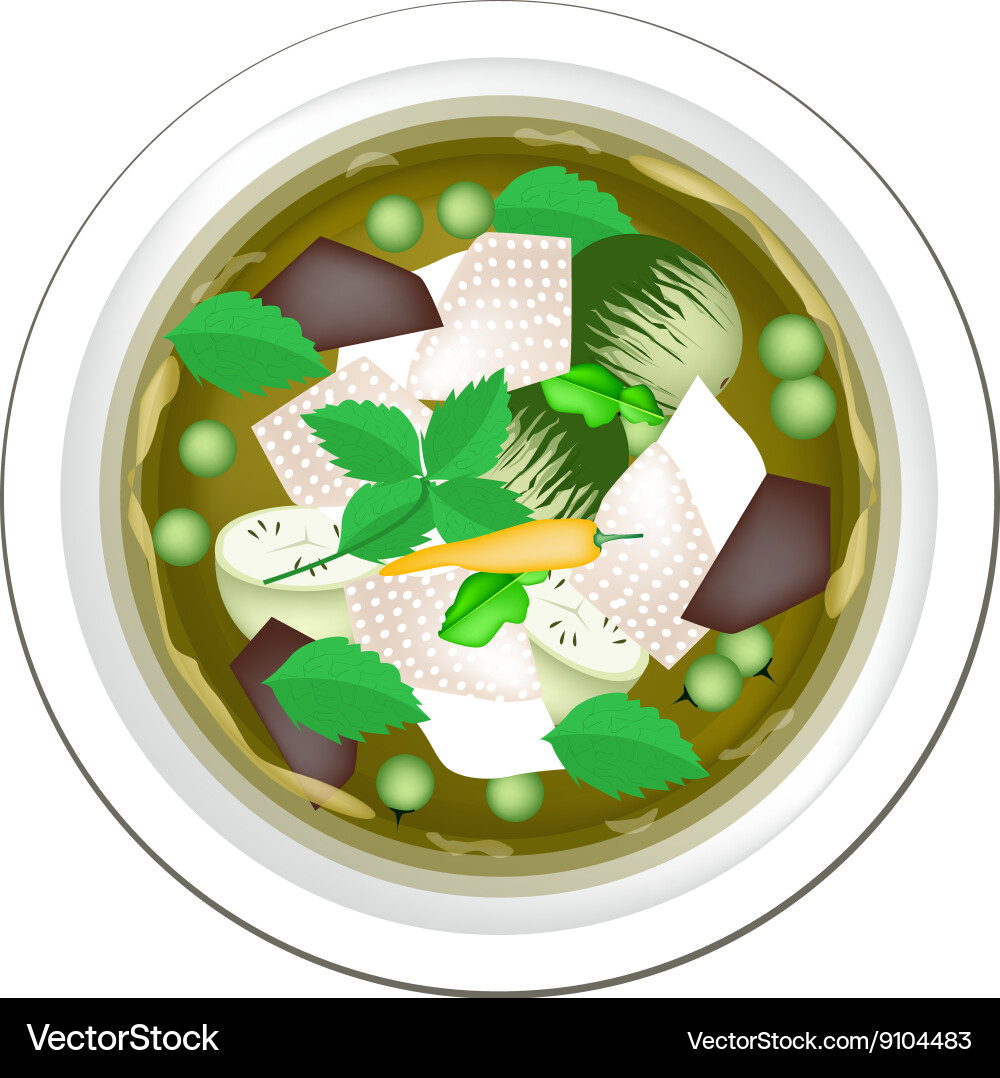 Thai Green Curry with Chicken and Eggplant Vector Image