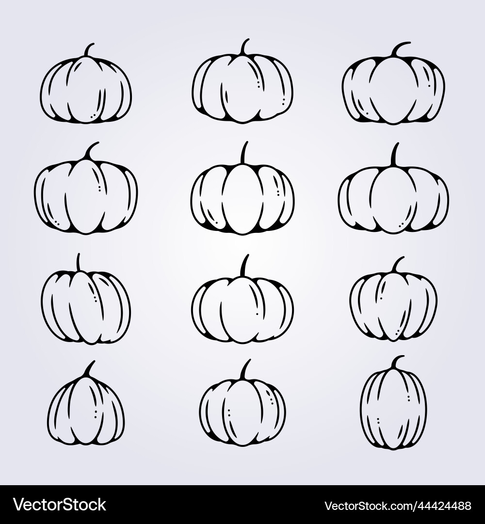 Bundle of various pumpkins in modern line Vector Image