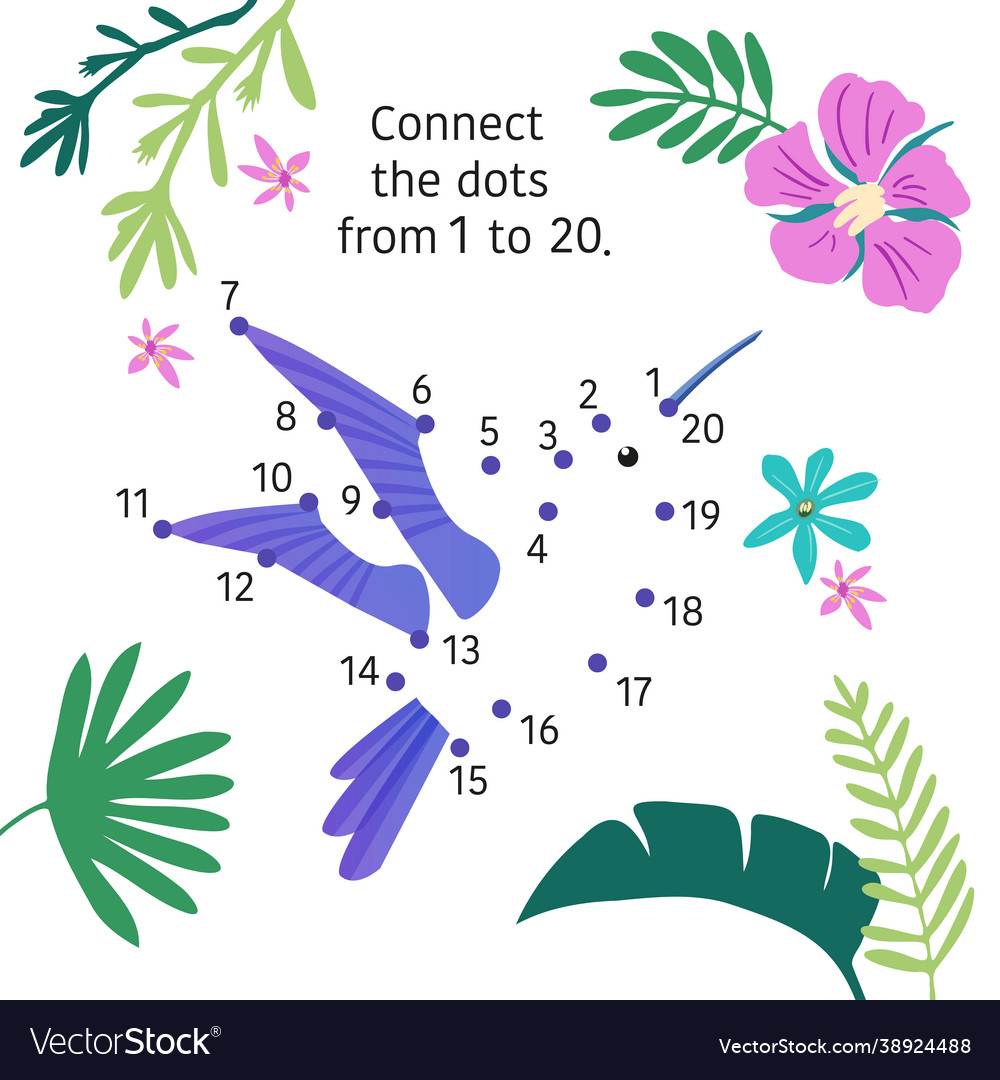 Calibri in rainforest dot to dot connect dots Vector Image