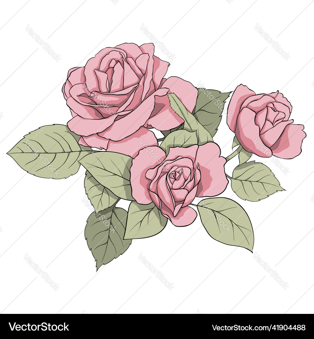 Composition of delicate pink roses Royalty Free Vector Image