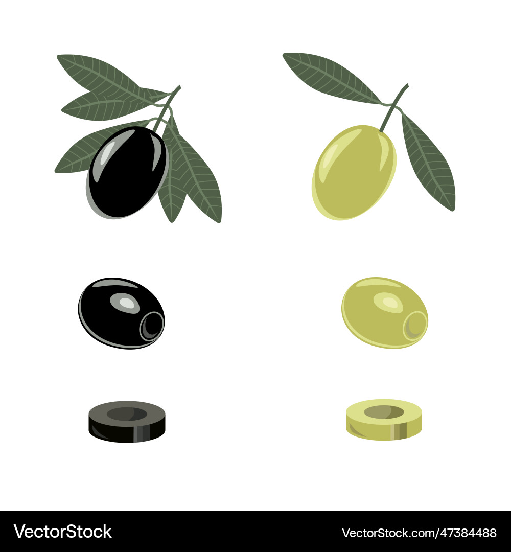 Set of olives Royalty Free Vector Image - VectorStock
