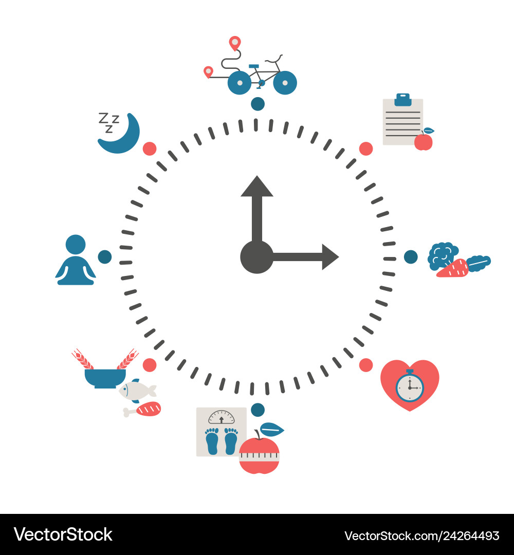Healthy lifestyle clock Royalty Free Vector Image