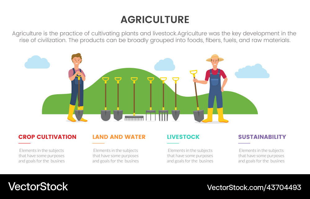 Tools equipment farming agriculture infographic Vector Image
