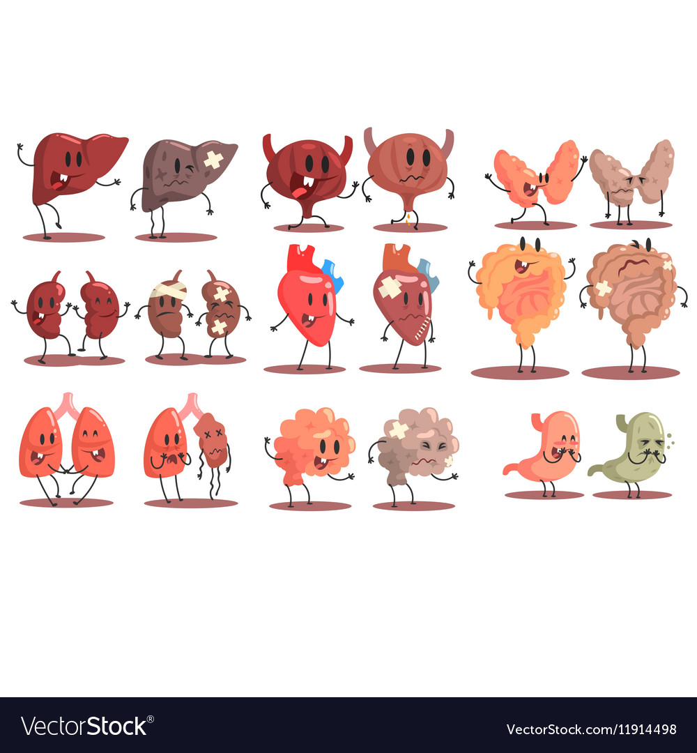 Human Internal Organs Healthy Vs Unhealthy Set Of Vector Image