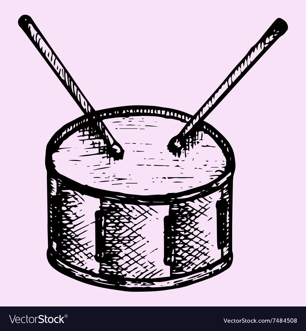 Drum Royalty Free Vector Image - VectorStock