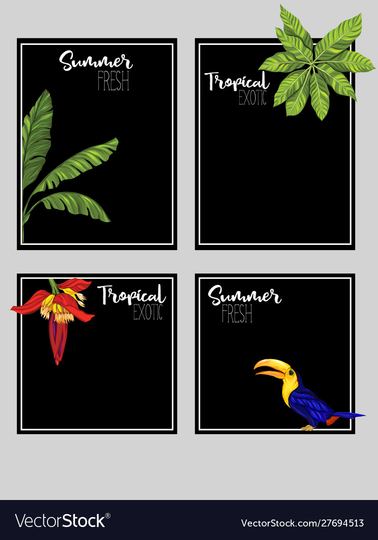 Set text boxes for bullet journal or notes Vector Image