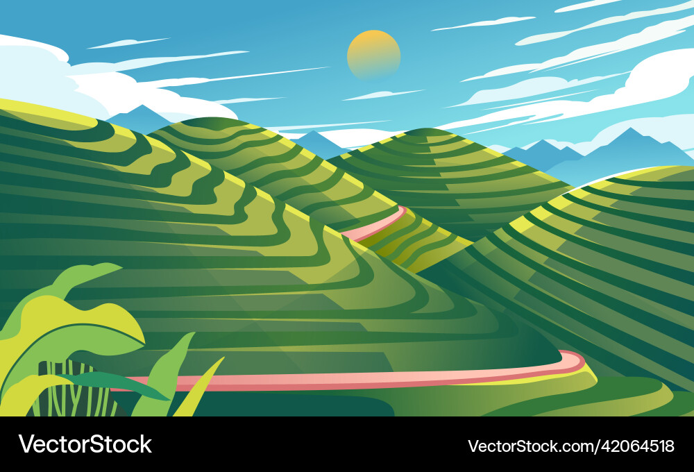 Beautiful ricefield landscape valleys up Vector Image