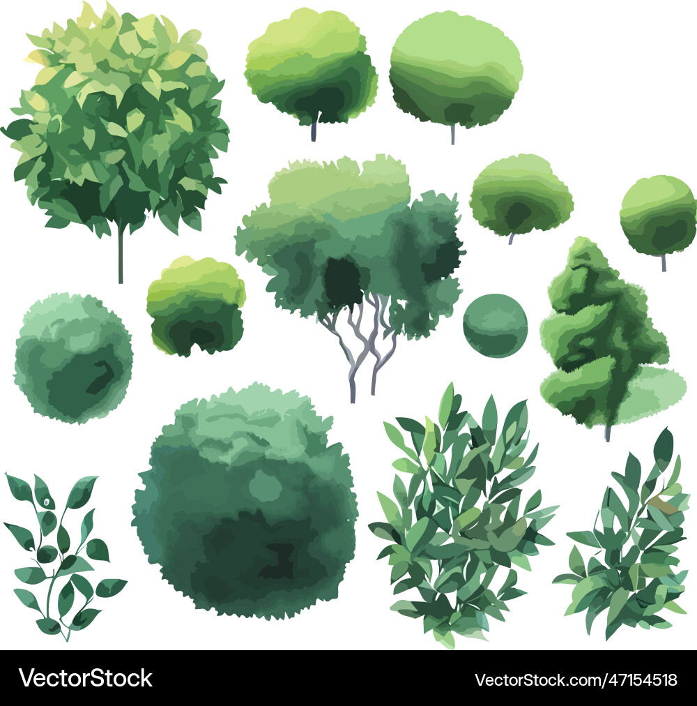 Breathtaking trees bushes shrubs top view Vector Image