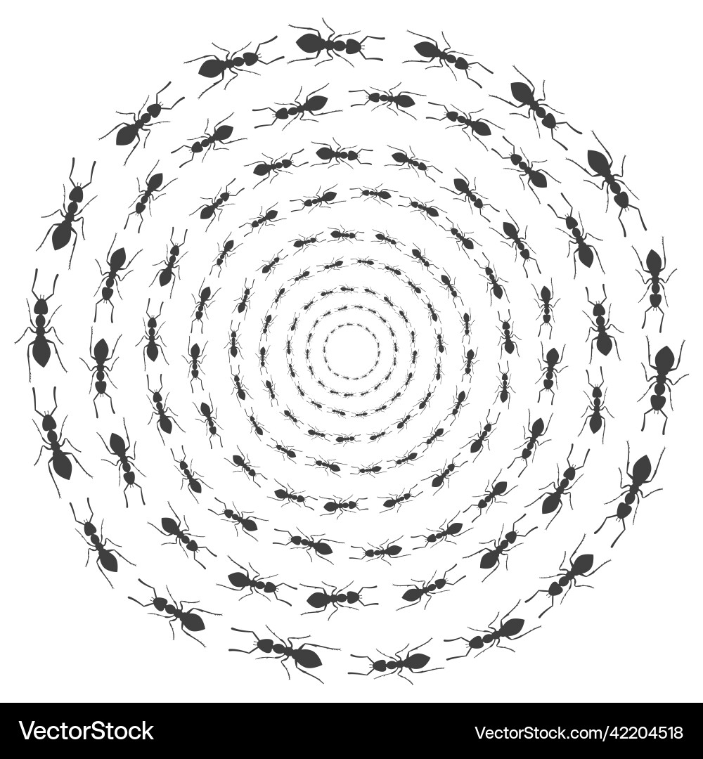 Trail of ants circular insect frame Royalty Free Vector