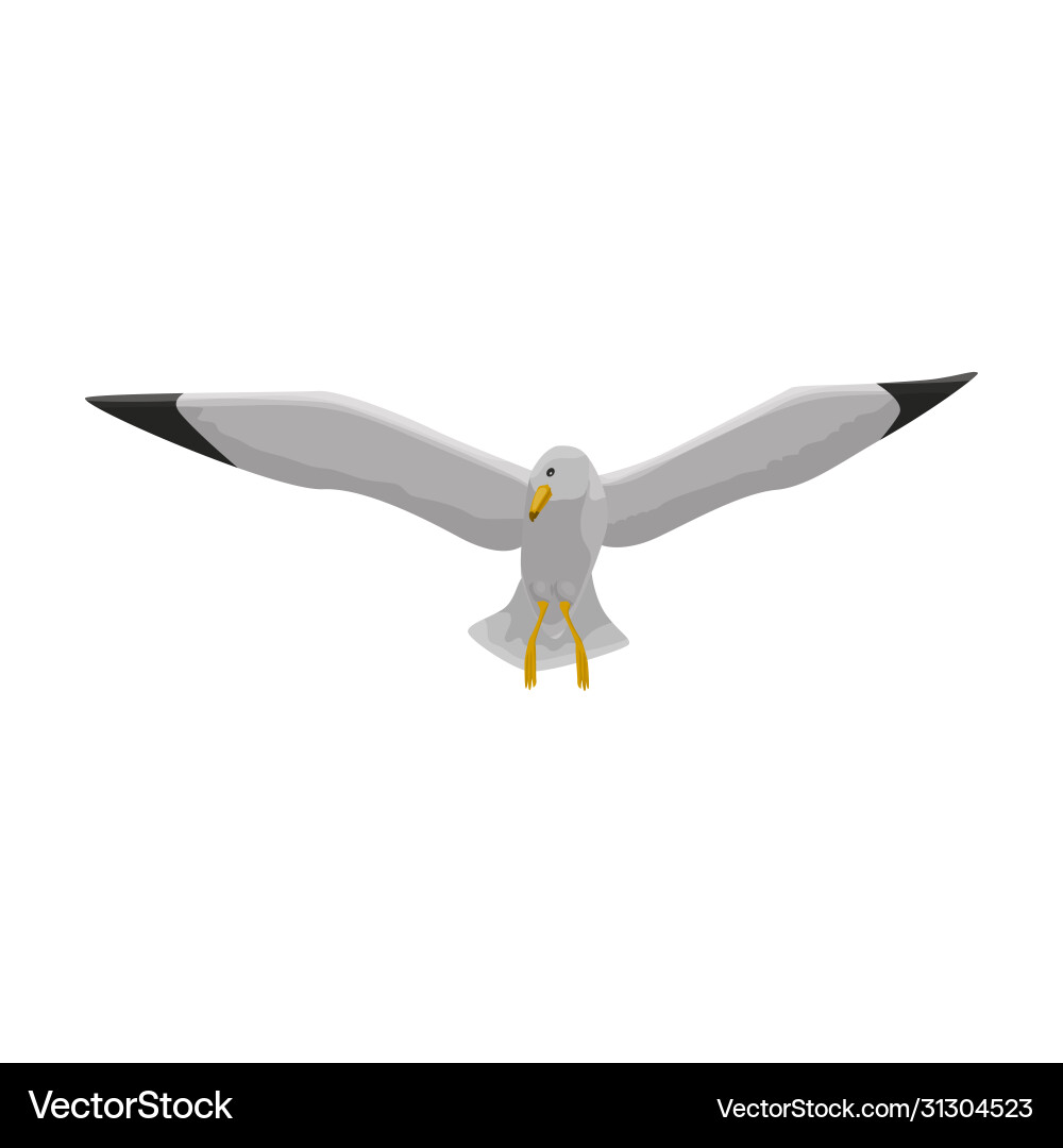 Bird gull iconcartoon icon isolated Royalty Free Vector