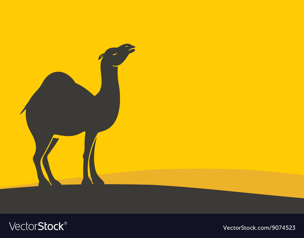 Camel Royalty Free Vector Image - VectorStock