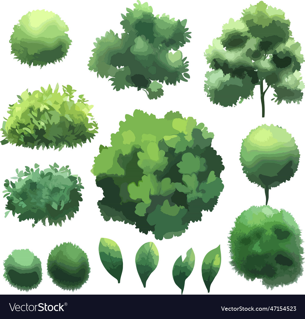 Extraordinary trees bushes shrubs top view Vector Image