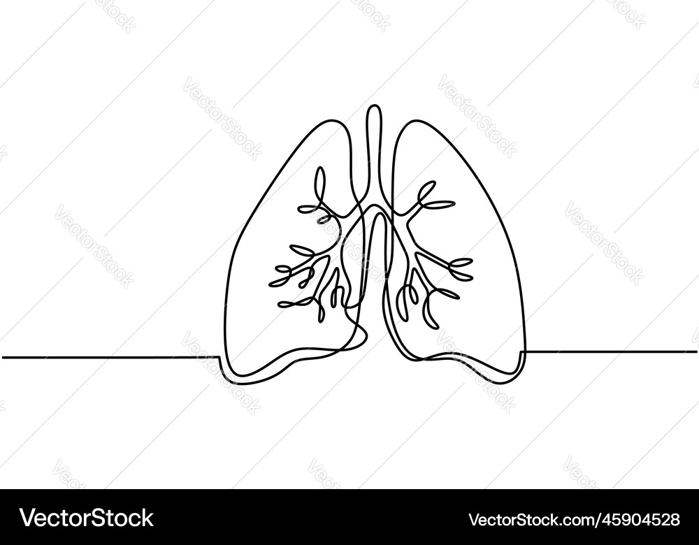 Single continuous line art of lungs human Vector Image